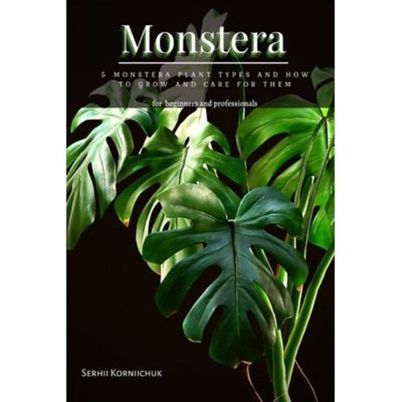 Serhii Korniichuk | Other | Monstera 5 Monstera Plant Types 72nd How ...